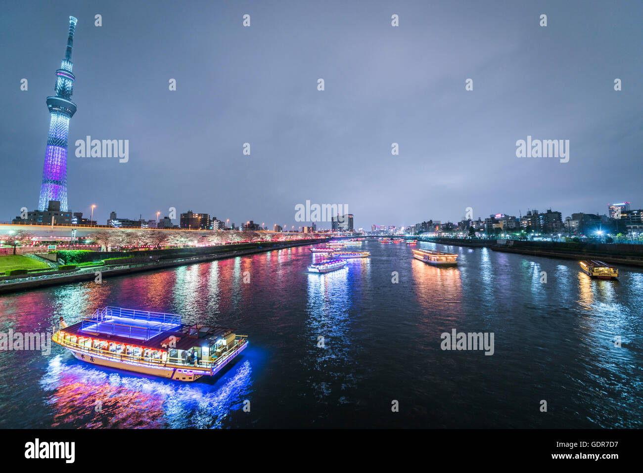 Cherry blossom,around Asakusa, Sumida River,Tokyo,Japan Stock Photo - Alamy