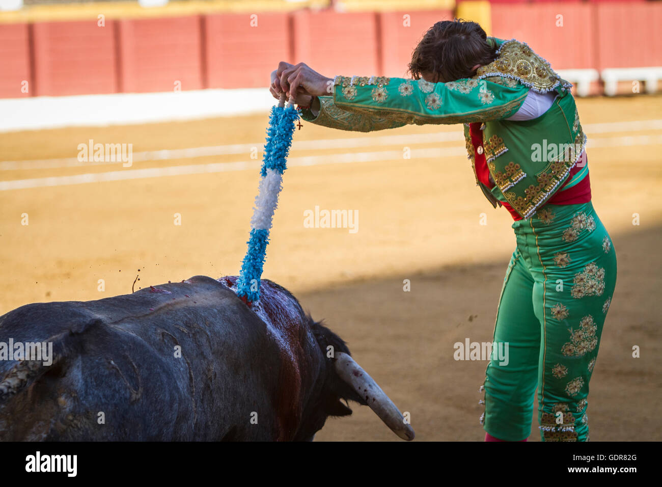 The Spanish Bullfighter Juan Jose Padilla with flags in each hand ...