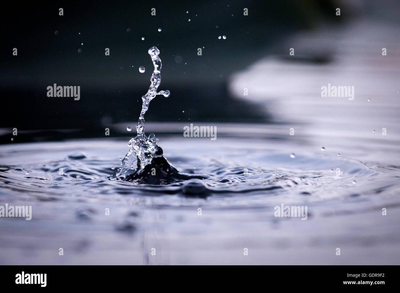 Water Droplets Falling On A Pond Stock Photo - Alamy