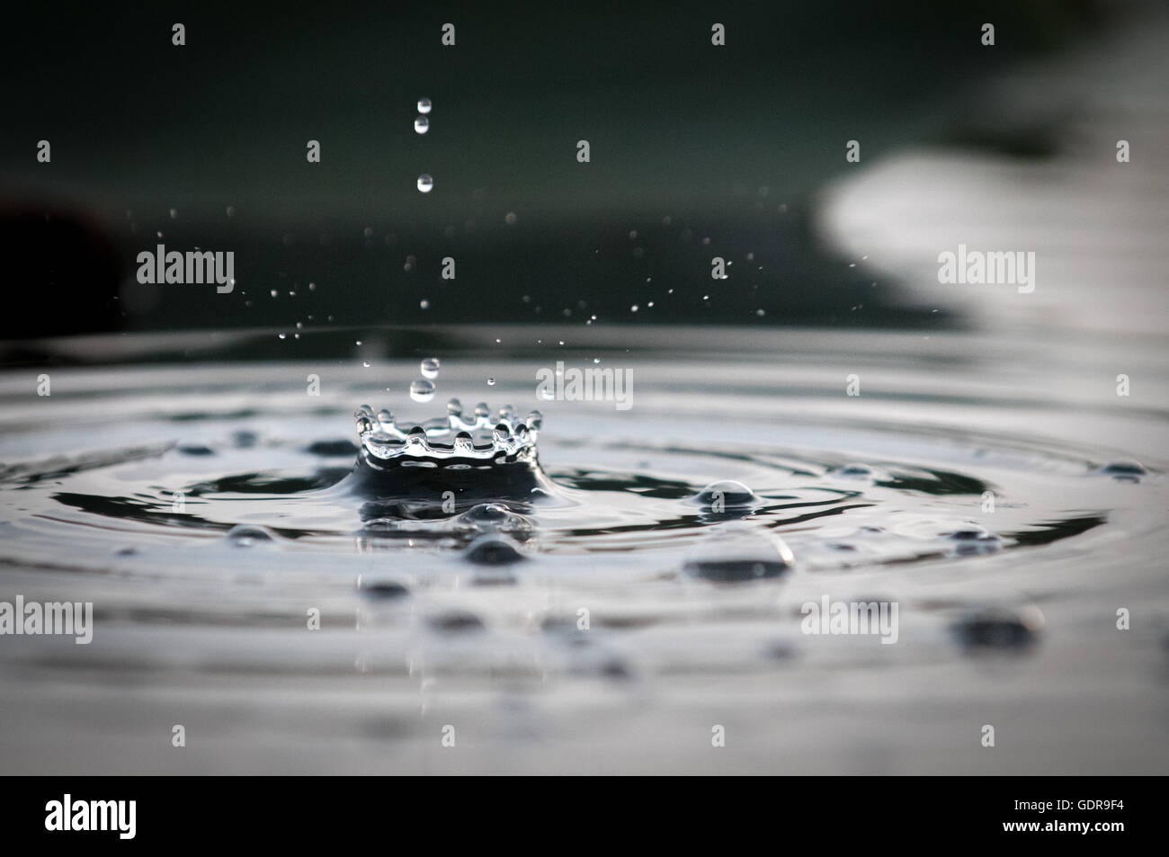 Water Droplets Falling On A Pond Stock Photo - Alamy
