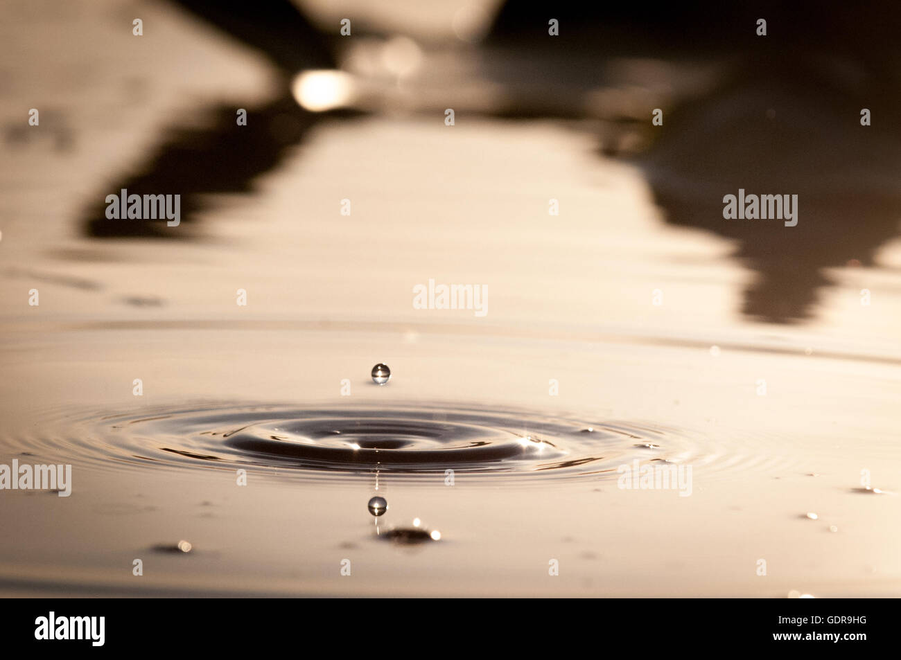 Water dripping into a pond in the evening light Stock Photo - Alamy