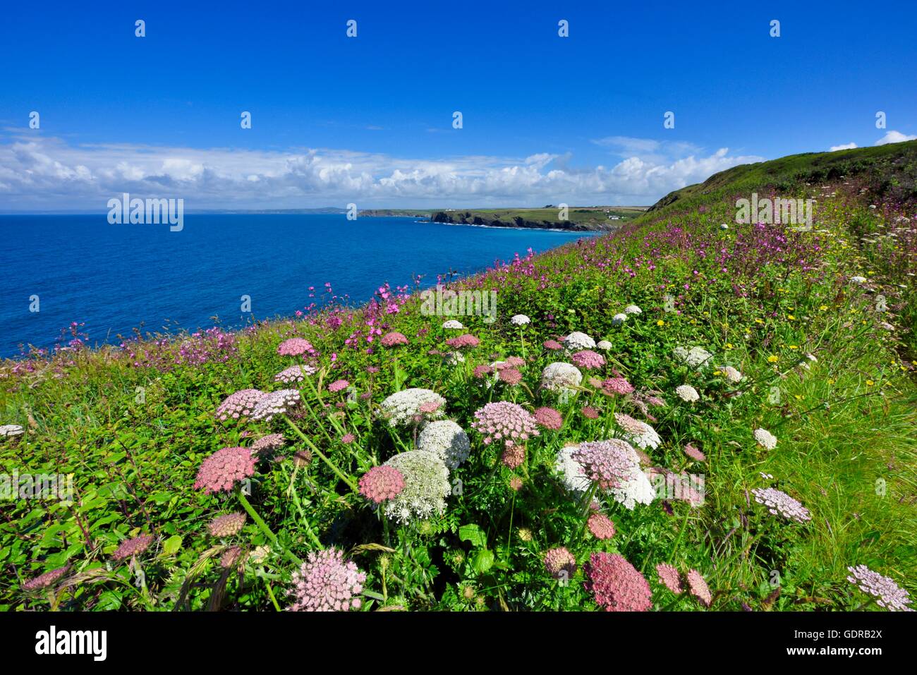 Mullion Cornwall England UK Stock Photo - Alamy