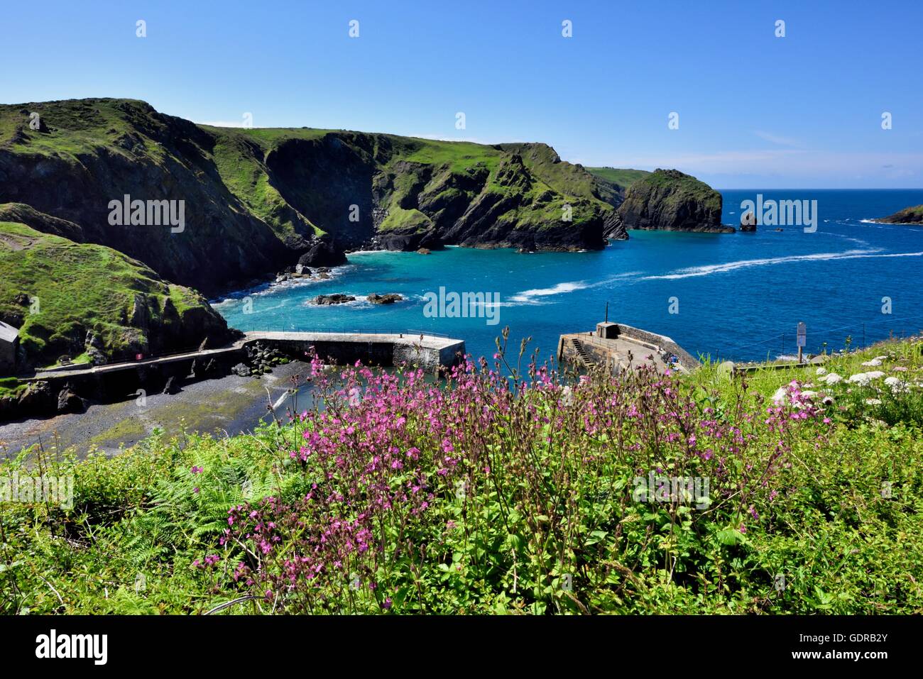 Mullion cove cornwall hi-res stock photography and images - Alamy