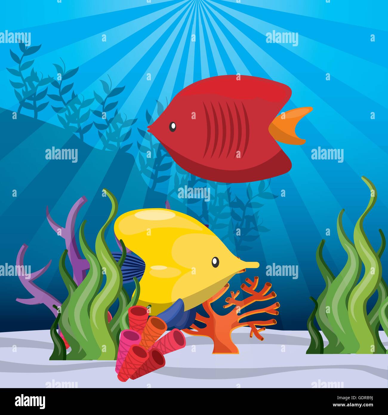 Tropical fish icon. Sea life design. Vector graphic Stock Vector Image ...