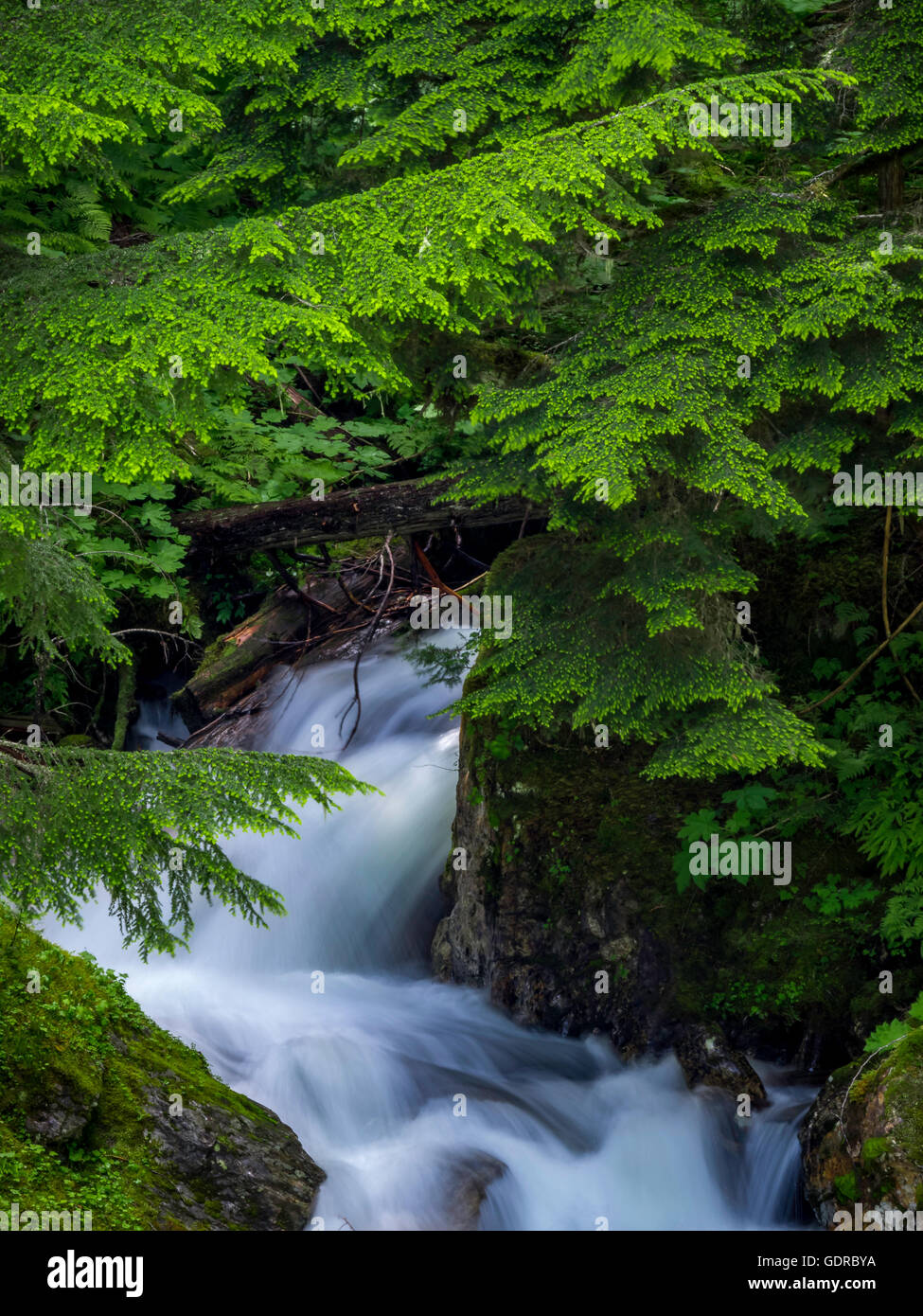 Small waterfall under tree hi-res stock photography and images - Alamy