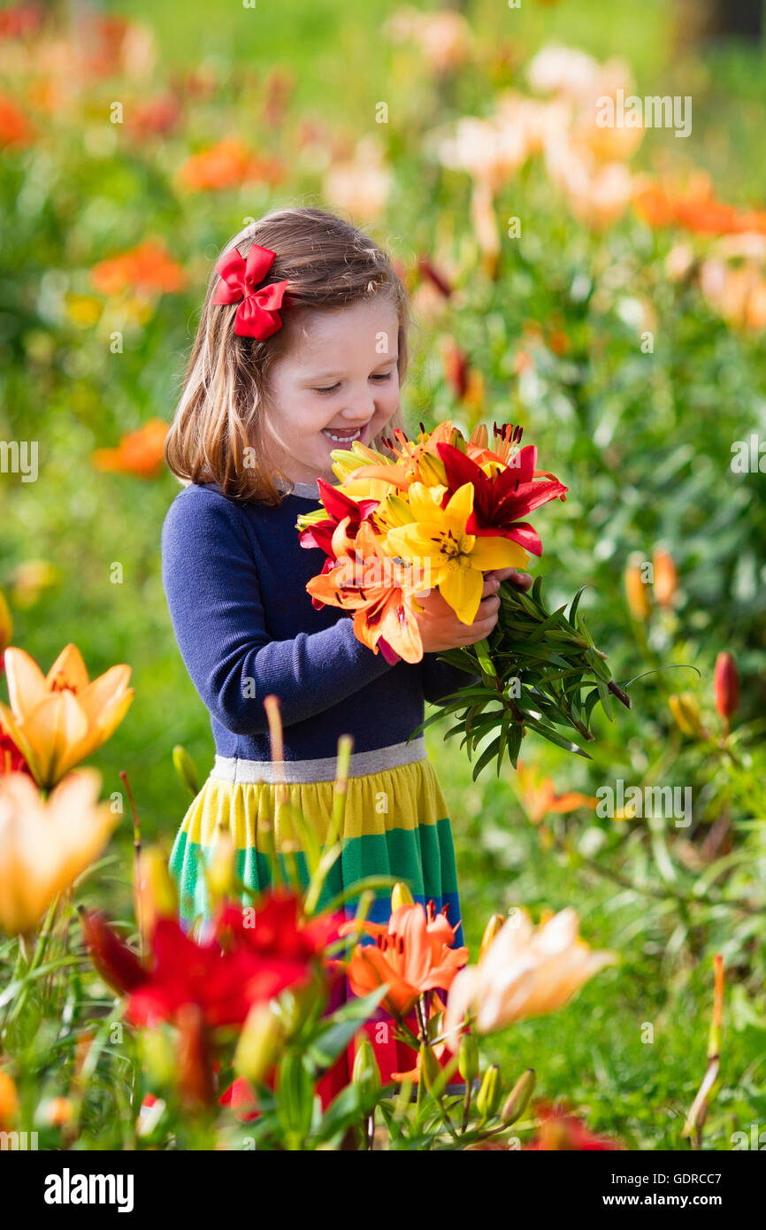 Cute little girl picking lily flowers in blooming summer garden. Child ...