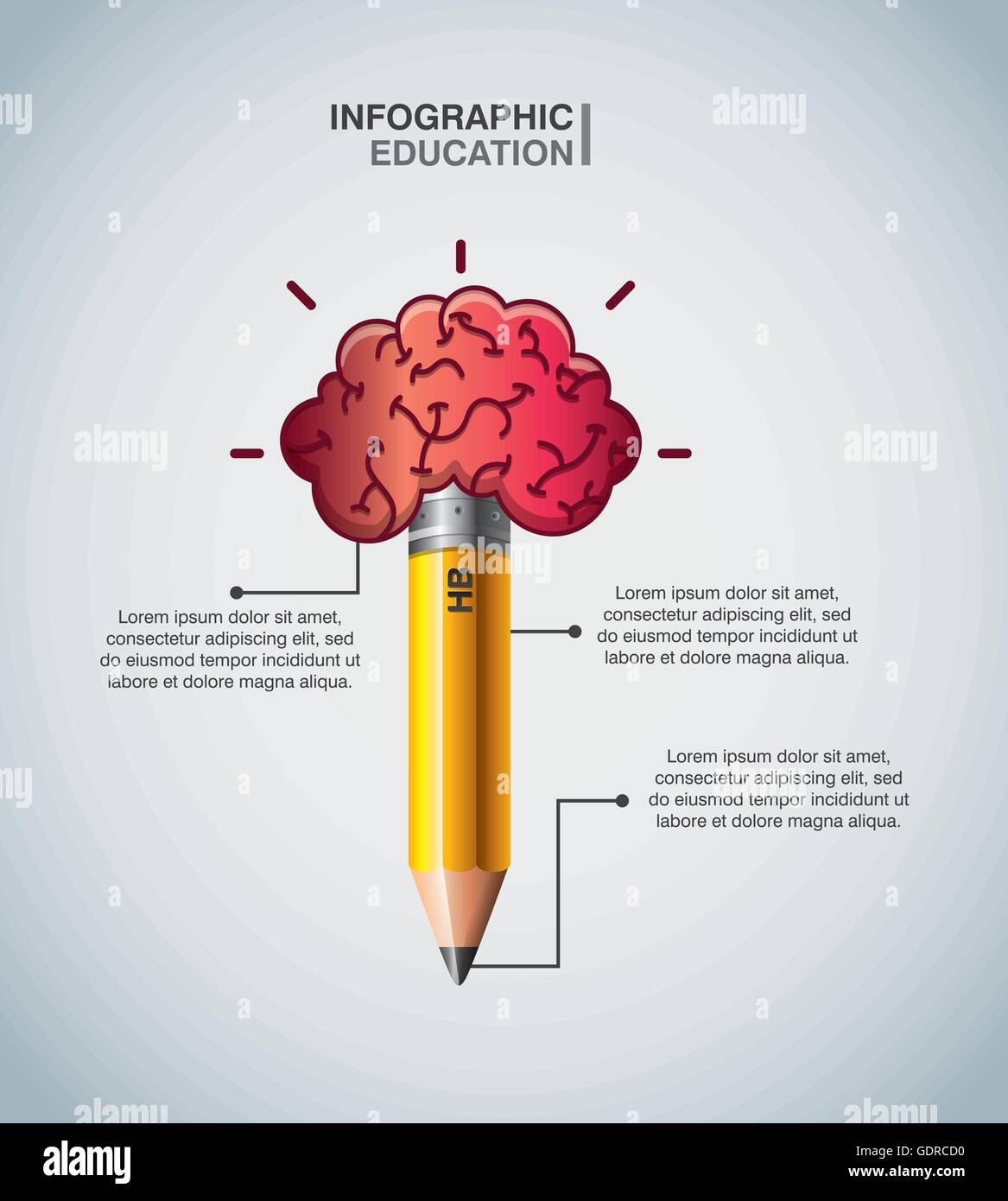 Brain and Pencil icon. Infographic education design. Vector grap Stock ...