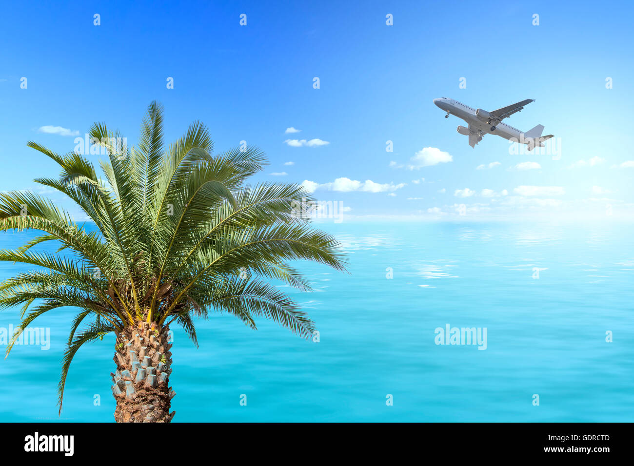 Palm, sea and airplane Stock Photo - Alamy