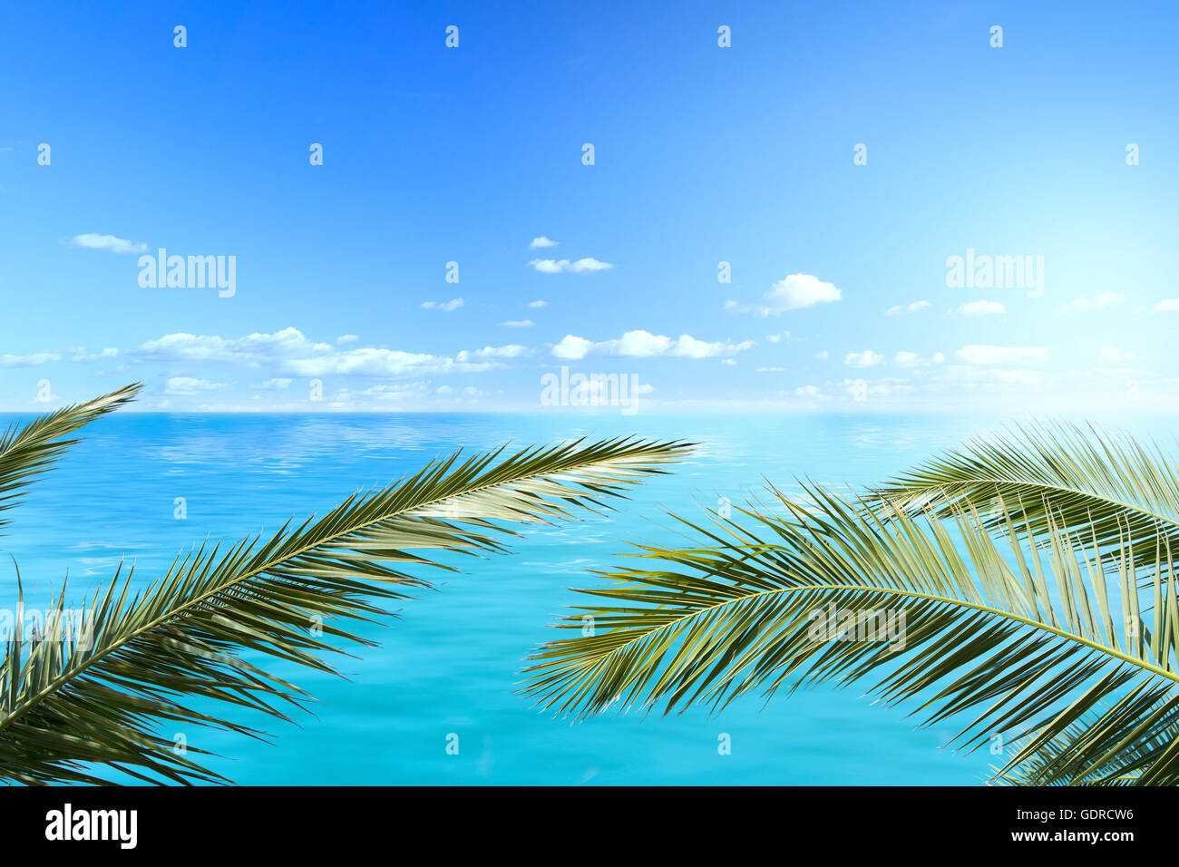 Ocean views with palms Stock Photo - Alamy
