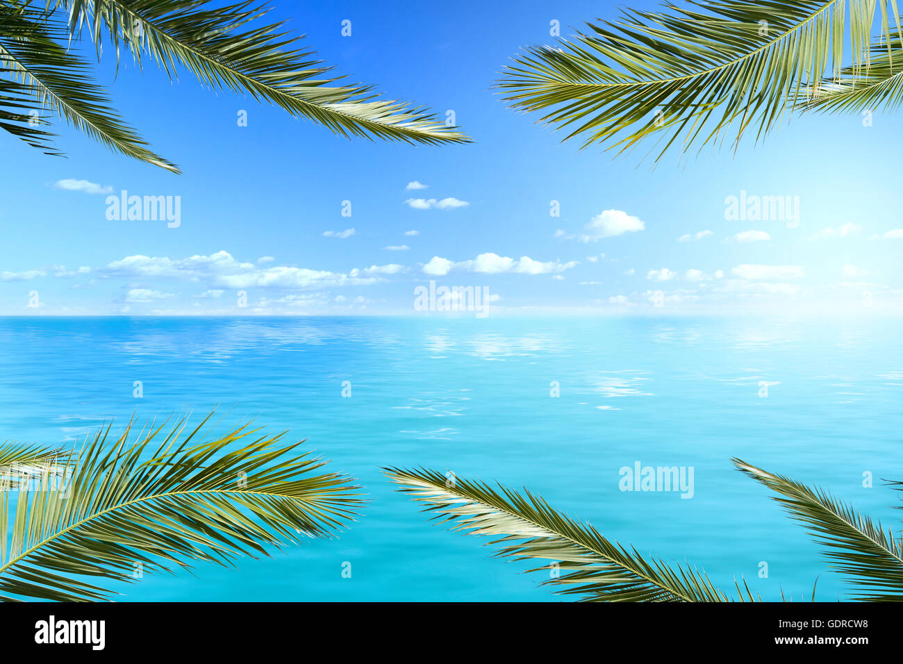 Palm tree sea leaves hi-res stock photography and images - Alamy