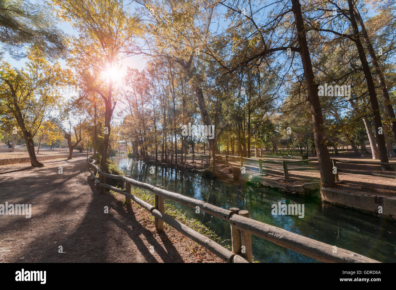 Mediterranean forest sunbeam sunlight hi-res stock photography and ...