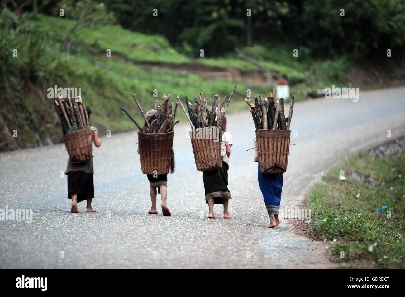 girls with fire wood near the Village of Muang Phou Khoun on the ...