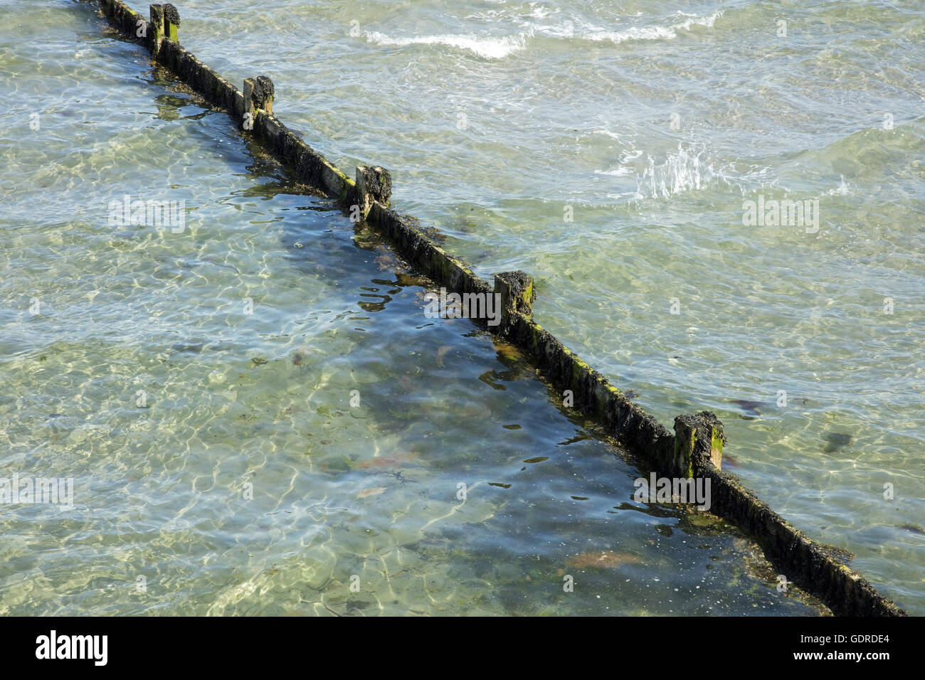 Old Wooden groins on the beach Stock Photo - Alamy