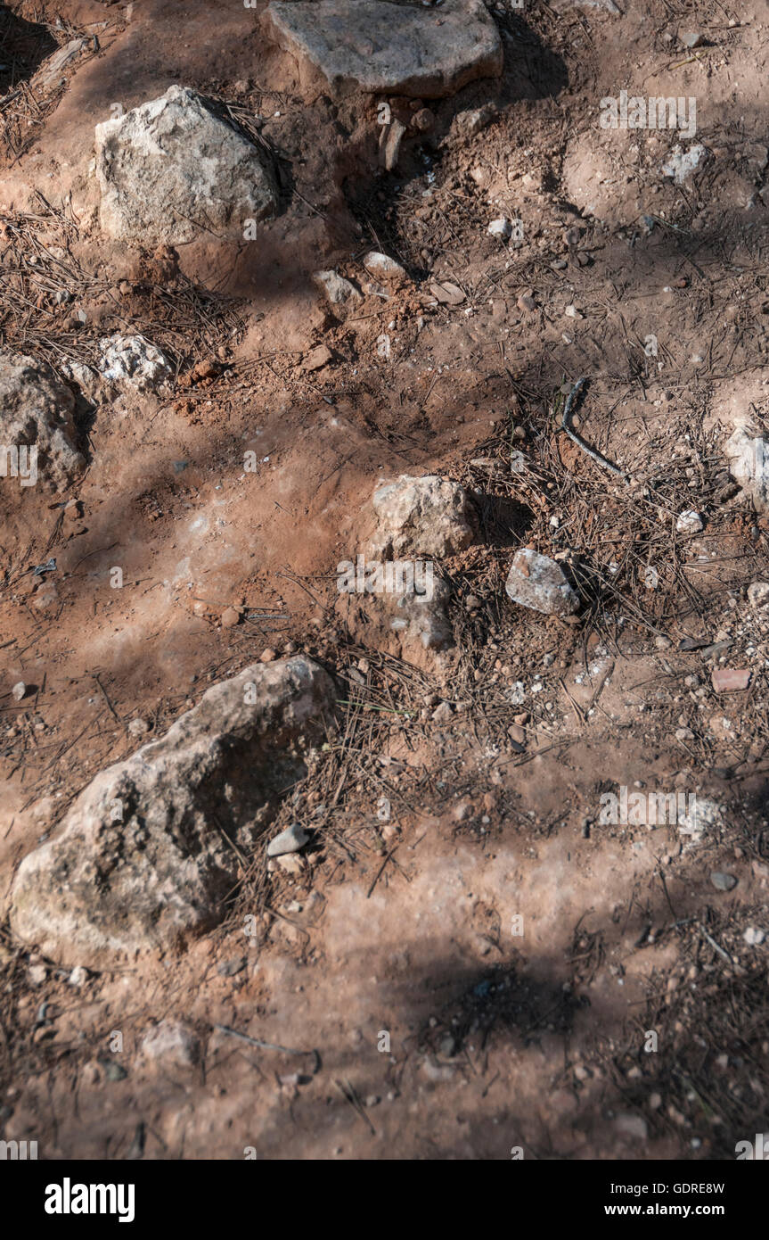 Deforestation rainforest erosion hi-res stock photography and images ...