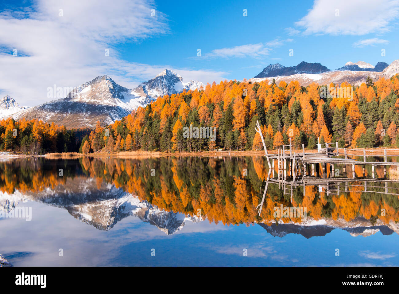 Autumn mood with yellow larches, Lake Staz near St. Moritz, Canton of ...