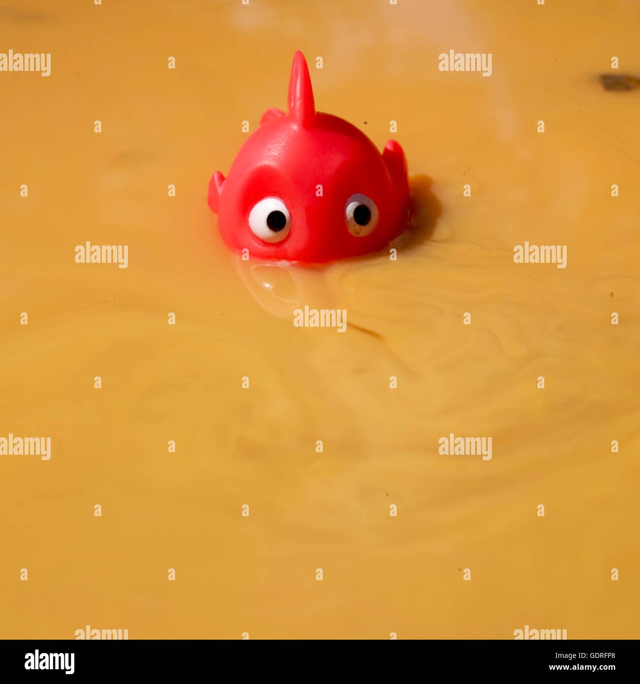 Red toy fish hi-res stock photography and images - Alamy