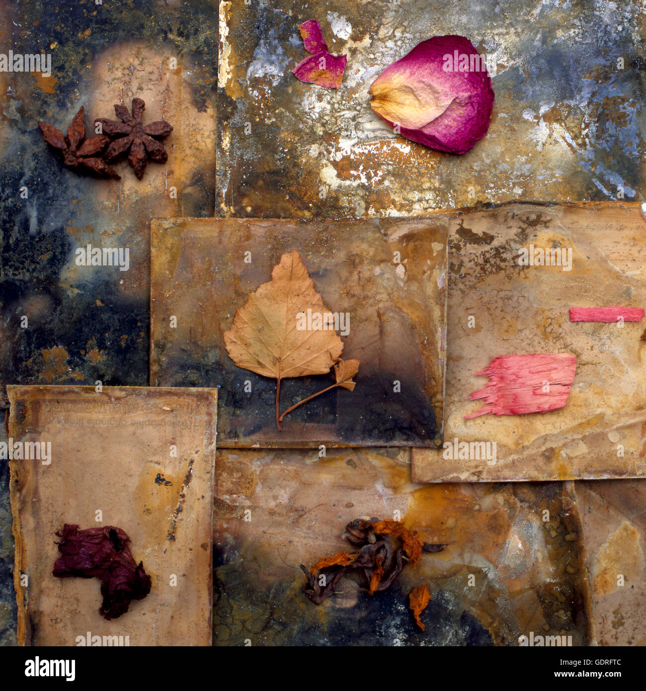 Variety of paintings hi-res stock photography and images - Alamy