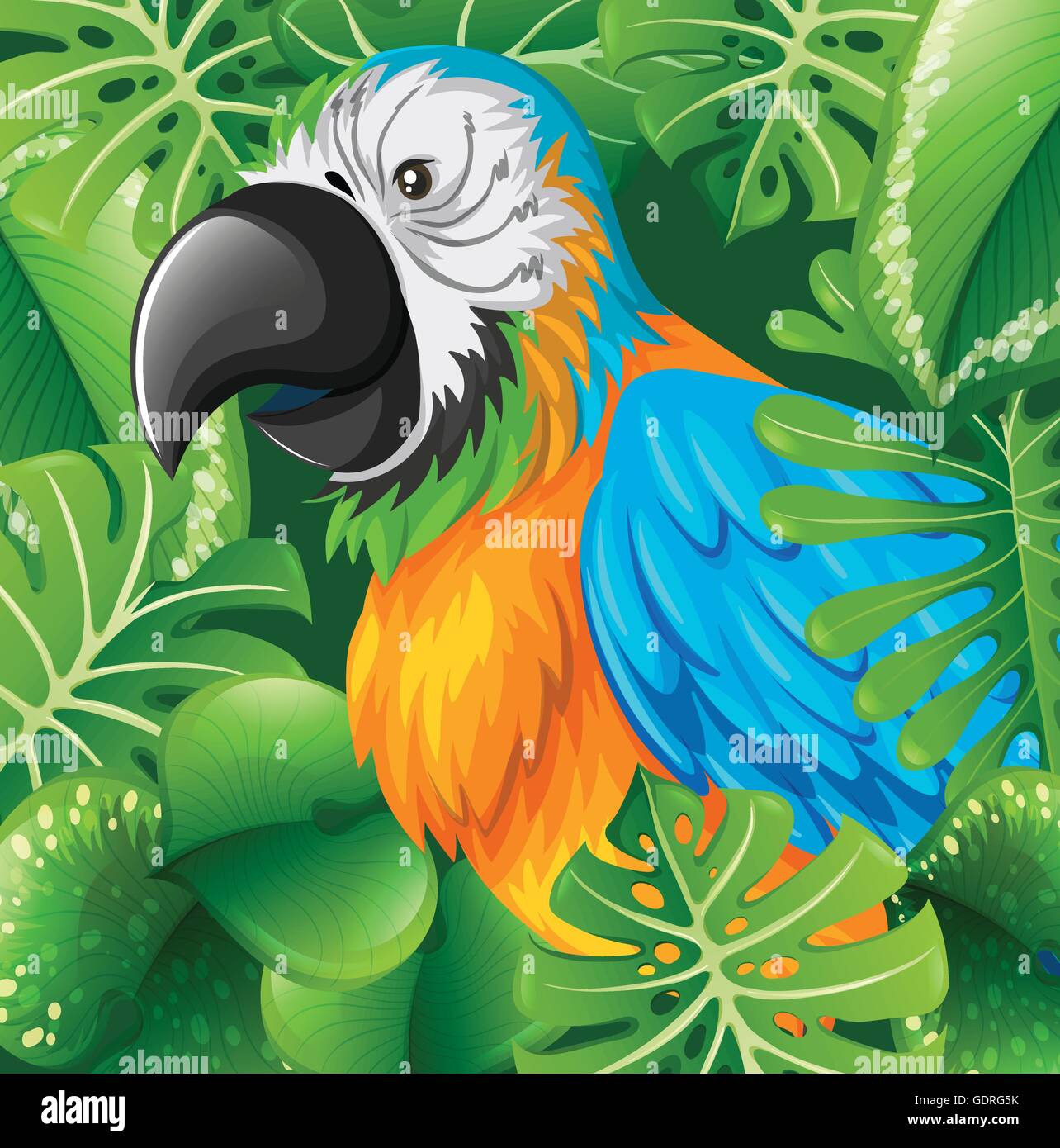 Parrot with colorful feather illustration Stock Vector Image & Art - Alamy
