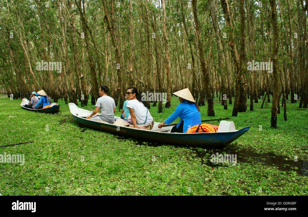 Tra Su indigo forest, eco tourist area at Mekong Delta, traveler in ...