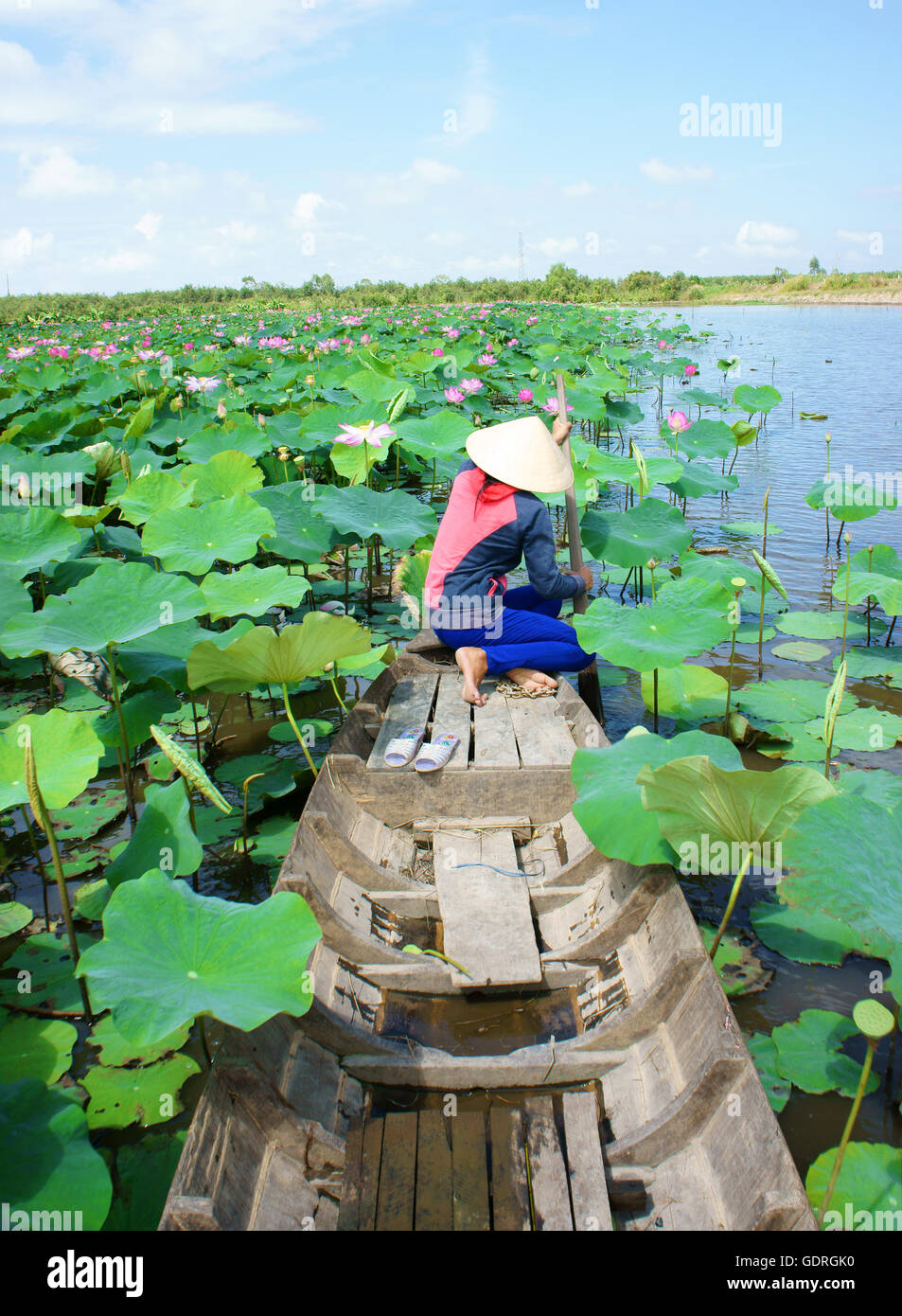 Beautiful landscaping of Vietnamese village, woman rowing row boat to ...