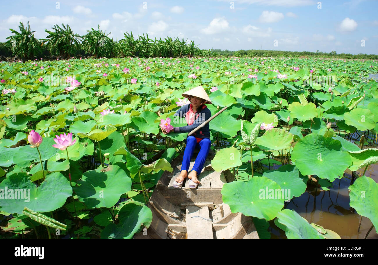 Beautiful landscaping of Vietnamese village, woman rowing row boat to ...