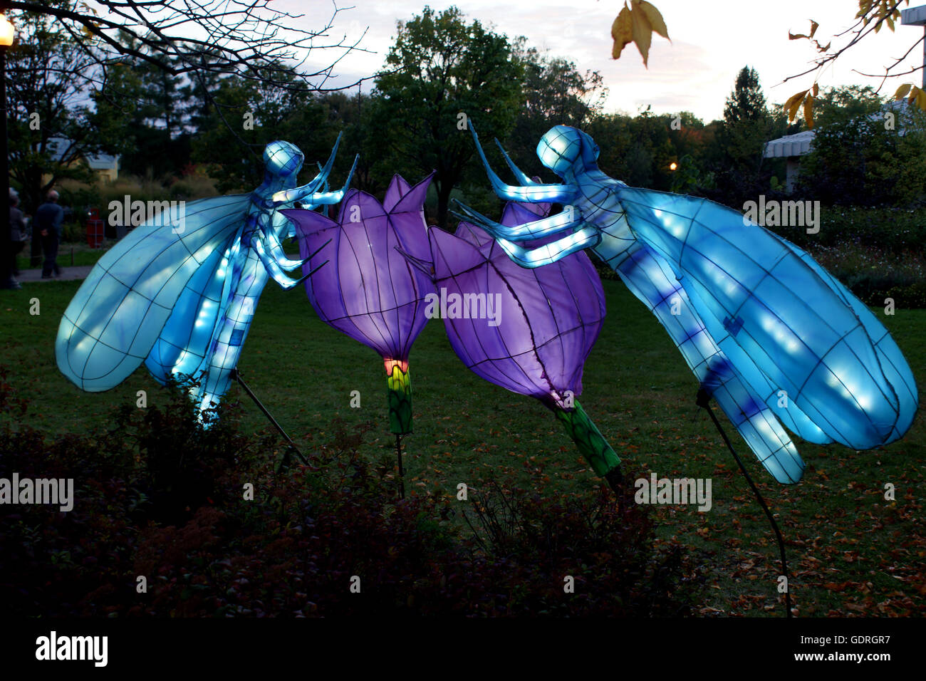 Dragonfly lanterns. Montreal Chinese Lantern Festival at the Botanical ...