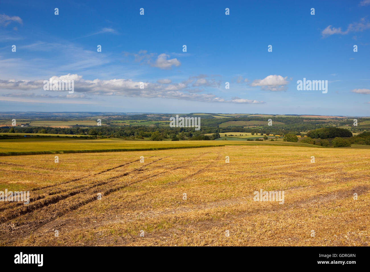 A scenic hay field in the Yorkshire wolds with patchwork fields under a ...