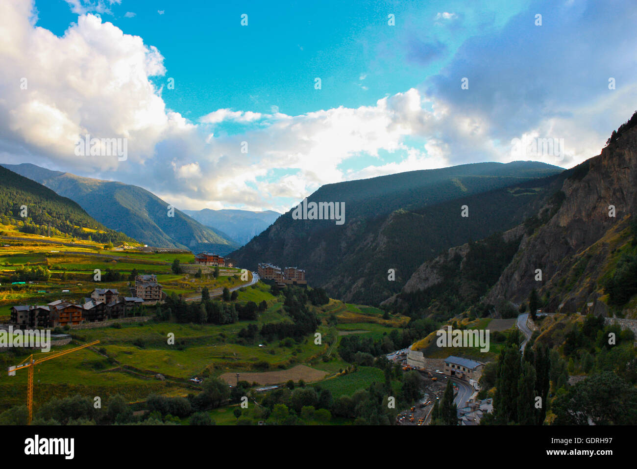 High mountain vegetation hi-res stock photography and images - Alamy