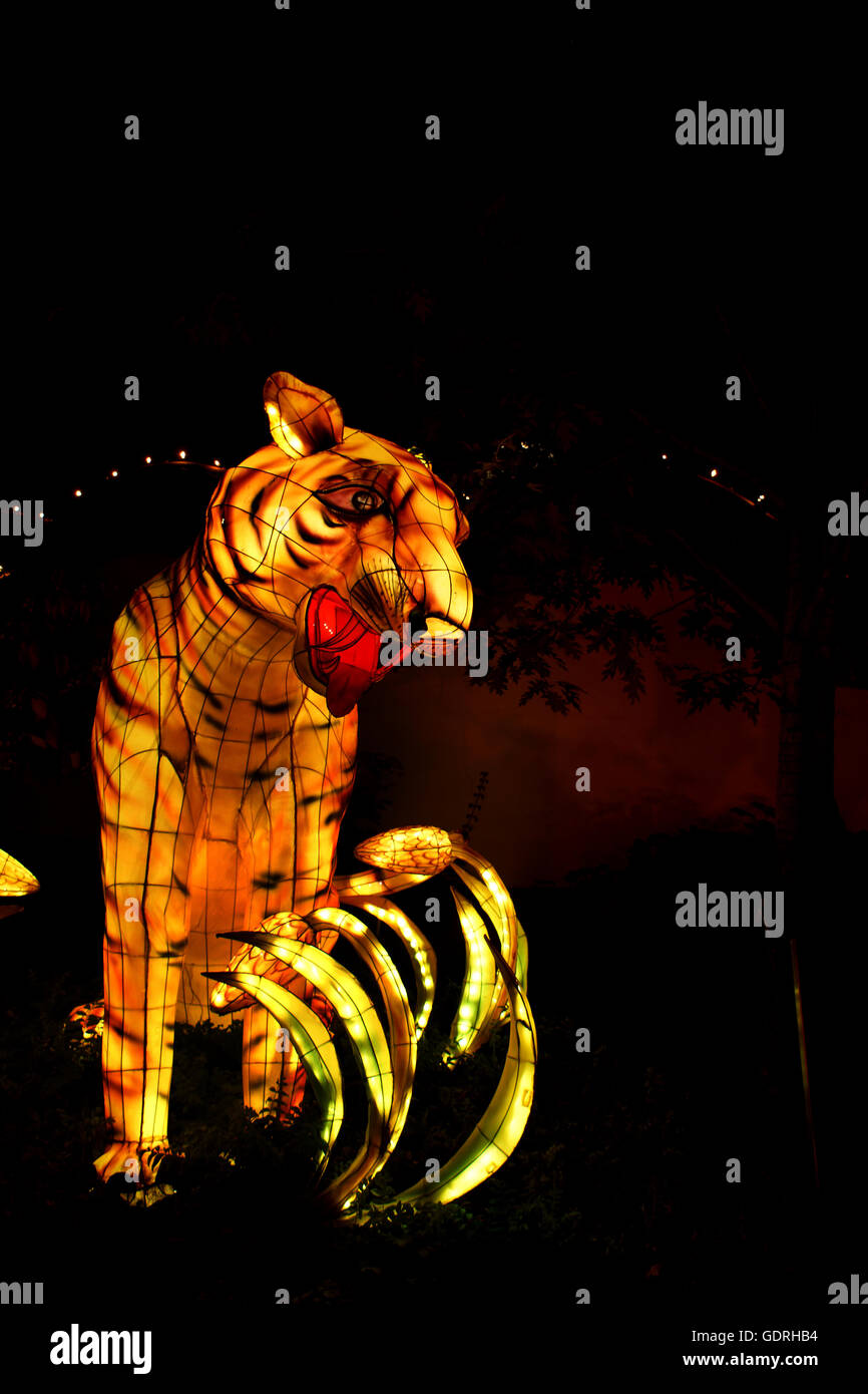 Tiger lantern. Montreal Chinese Lantern Festival at the Botanical ...
