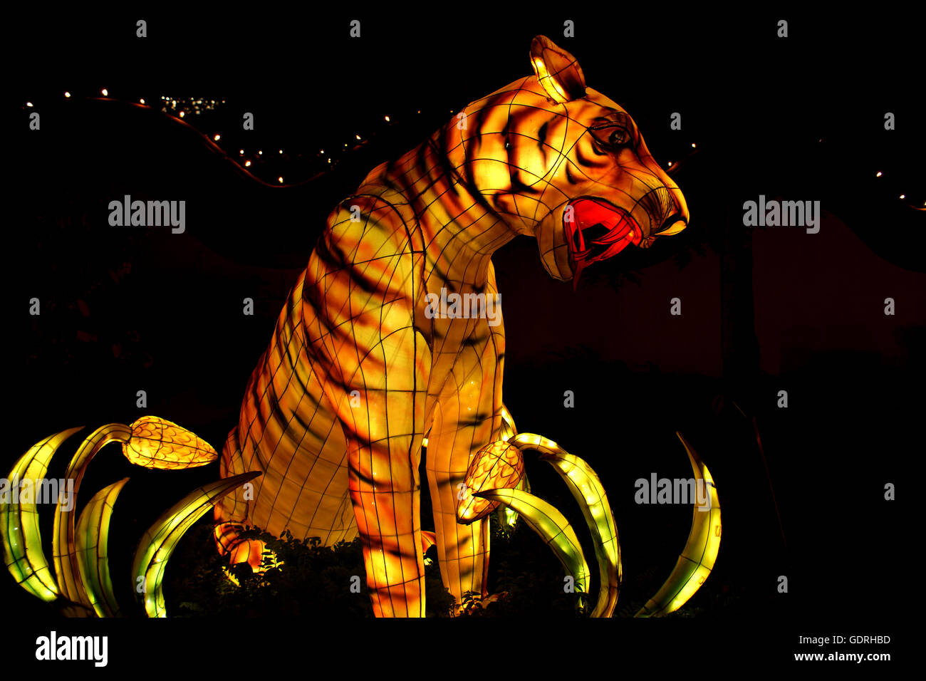 Tiger lantern. Montreal Chinese Lantern Festival at the Botanical ...