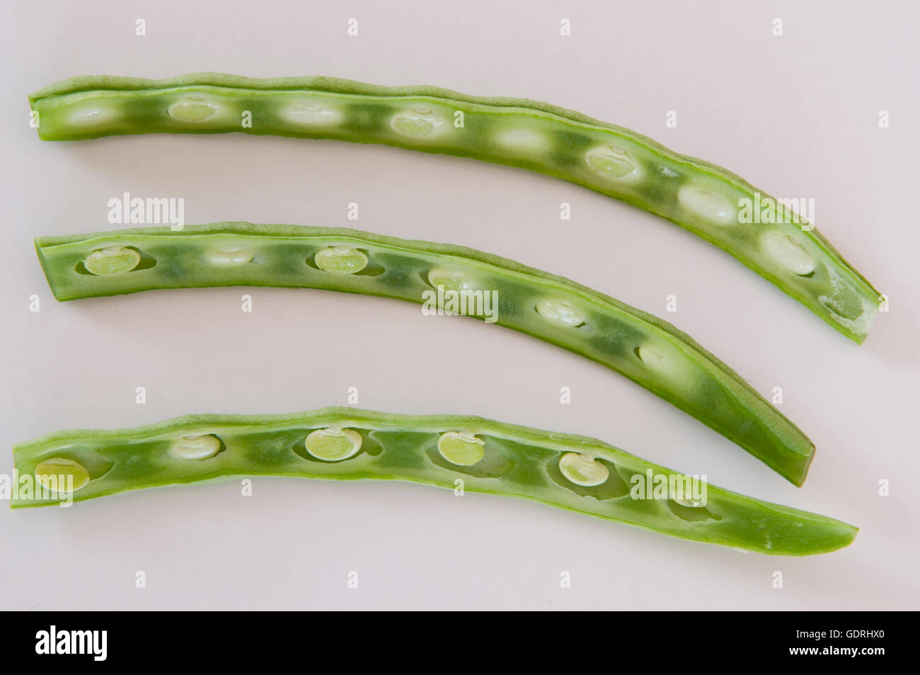 botany, beans, common bean (Phaseolus vulgaris), husk, husks ...