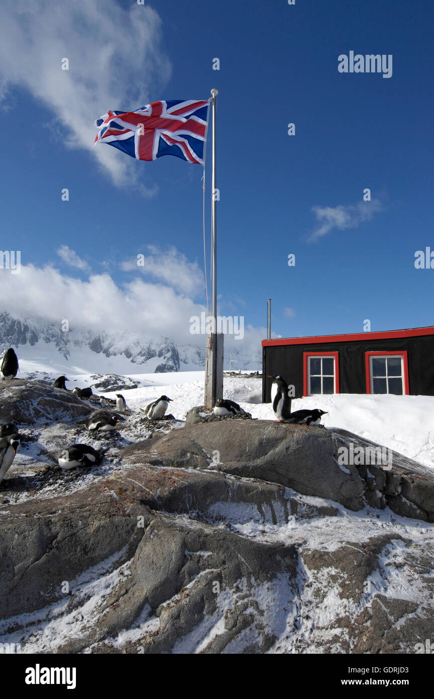 geography / travel, Antarctica, Port Lockroy, British Antarctic ...