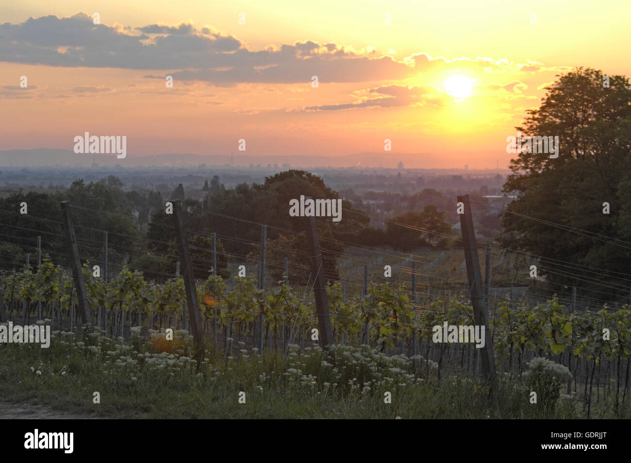 geography / travel, Germany, Rhineland-Palatinate, Northern Wine Route ...