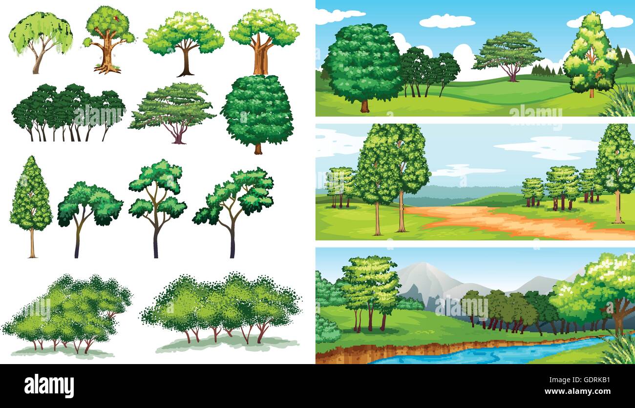 Nature scenes with trees and fields illustration Stock Vector Image ...