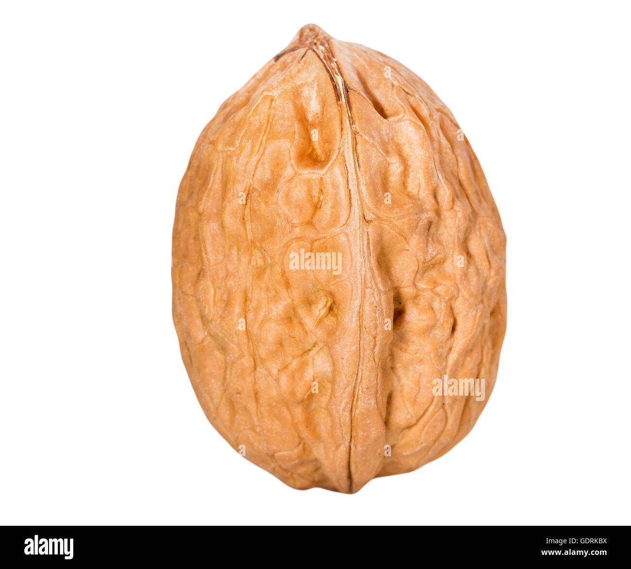 Walnut brain hi-res stock photography and images - Alamy
