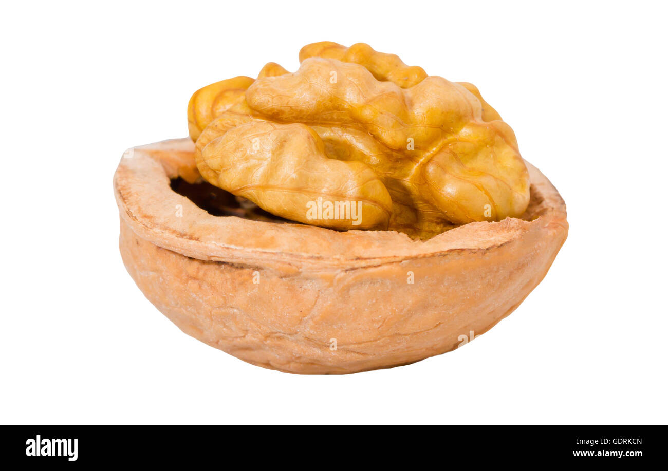 Walnut, open - isolated on white background Stock Photo - Alamy