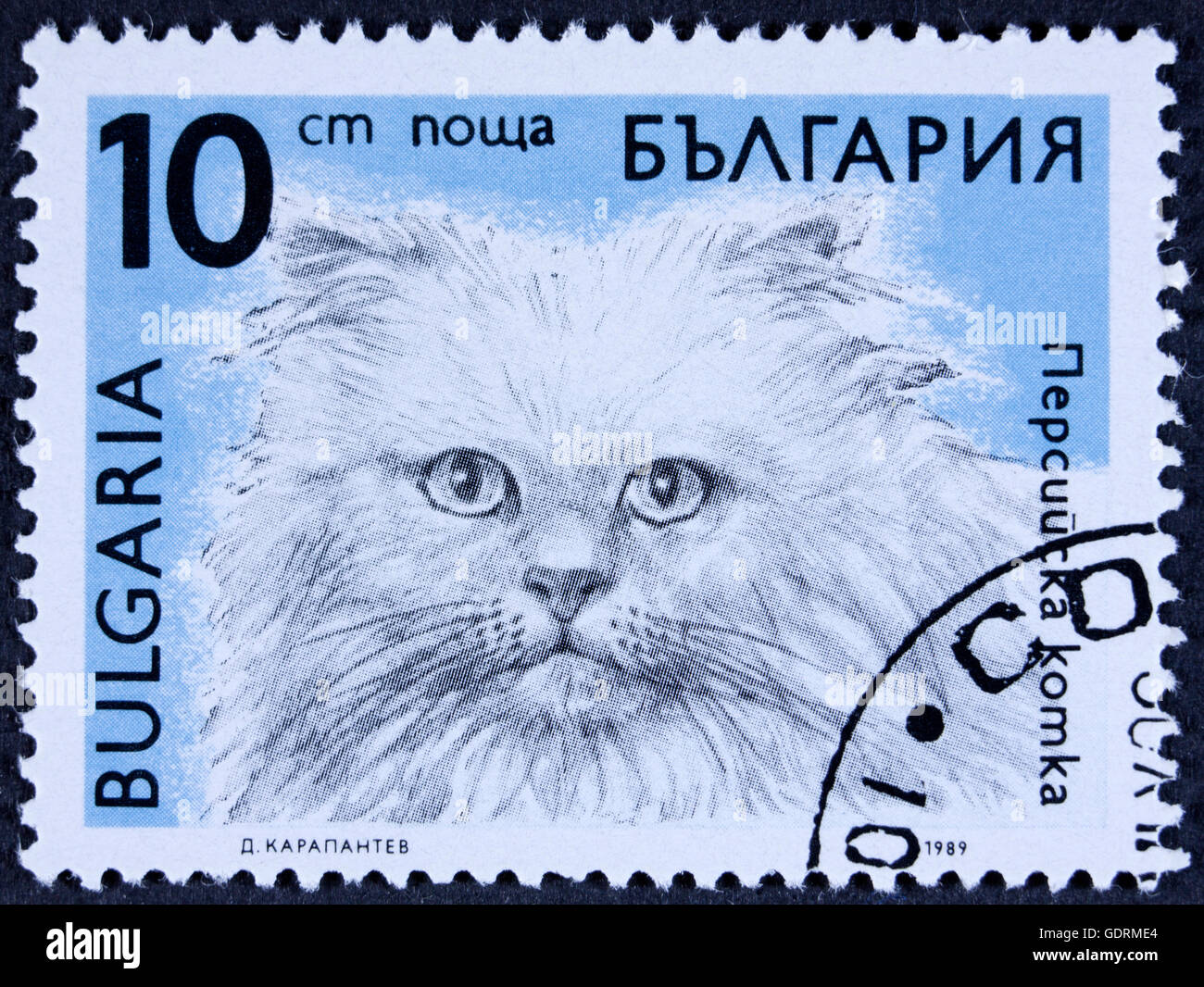 BULGARIA - CIRCA 1989: A stamp printed in BULGARIA shows a European cat ...
