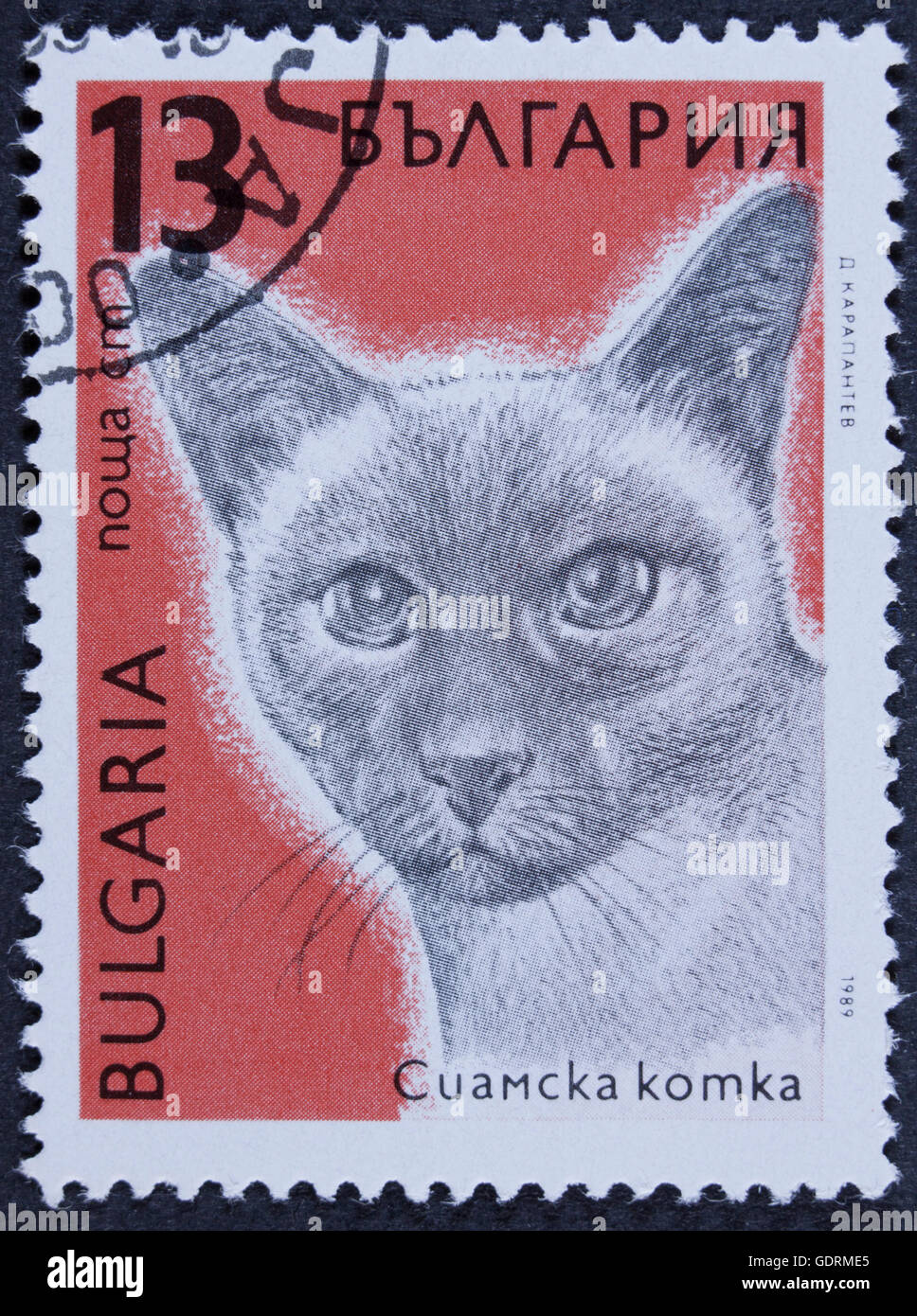 BULGARIA - CIRCA 1989: A stamp printed in BULGARIA shows a European cat ...
