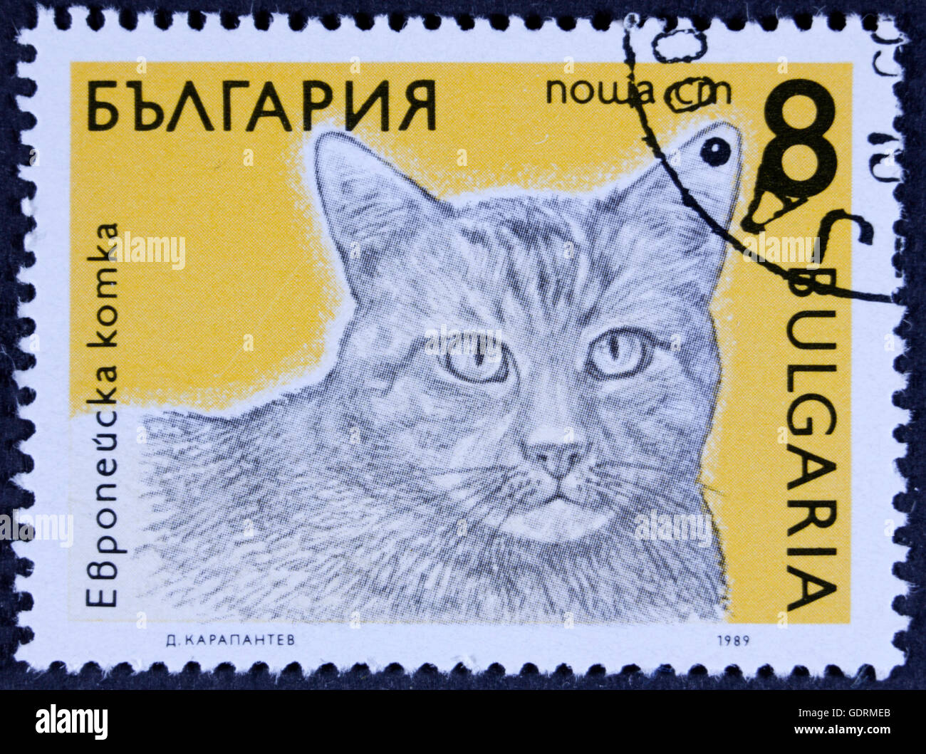 BULGARIA - CIRCA 1989: A stamp printed in BULGARIA shows a European cat ...