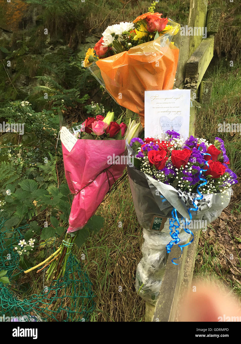 Broadbottom hi-res stock photography and images - Alamy