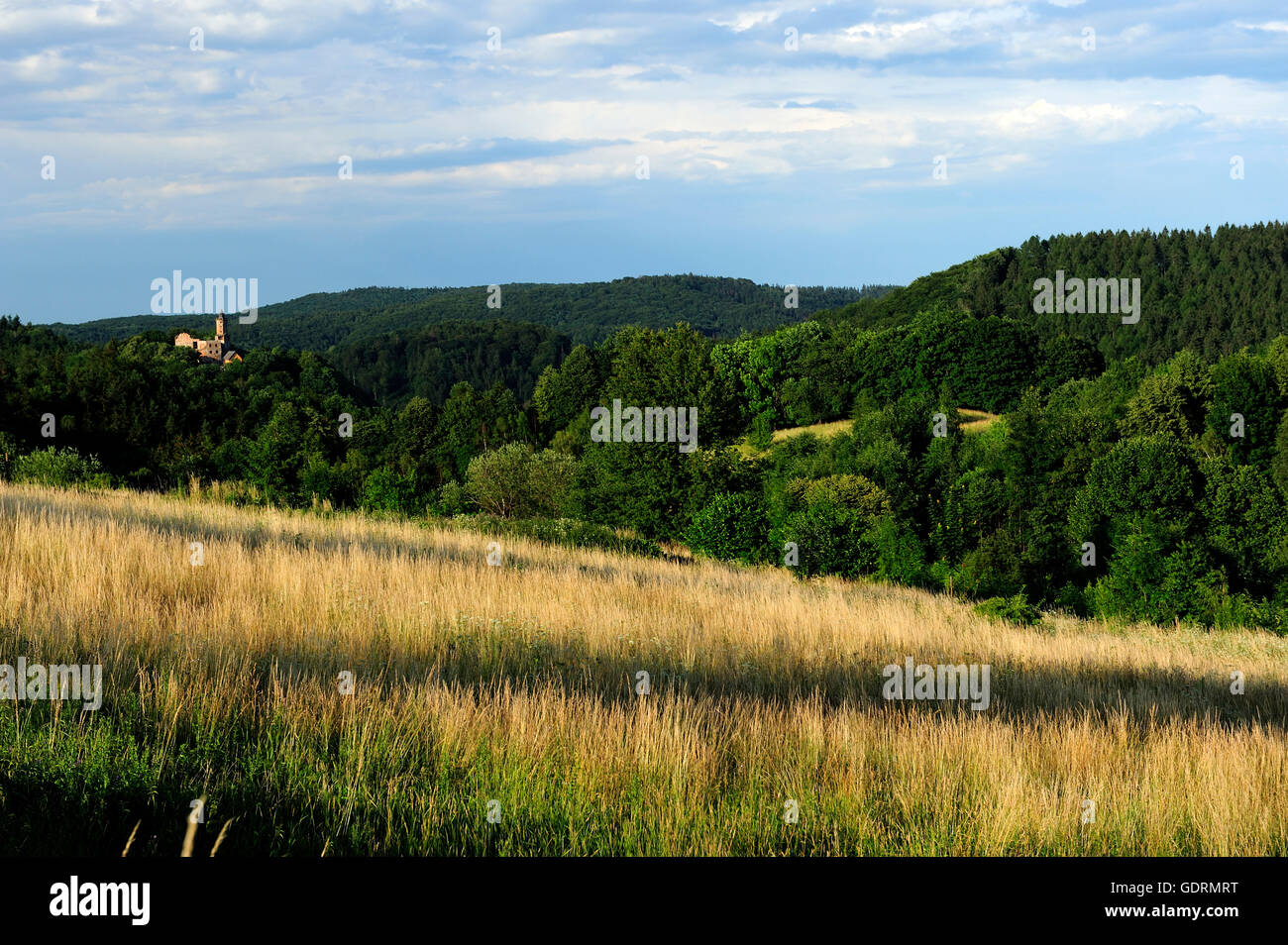 dolnoslaskie, castle grodno, architecture, zagorze sl, silesia, poland ...