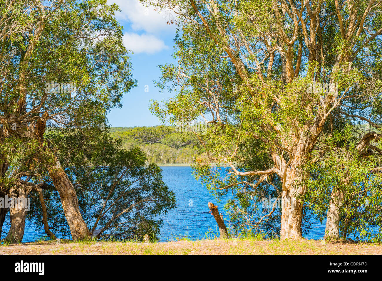 North stradbroke island lake hi-res stock photography and images - Alamy