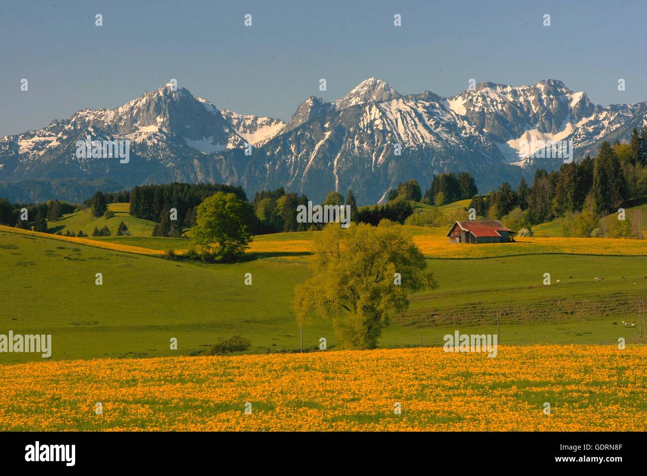 geography / travel, Germany, Bavaria, landscapes, Alps, Tannheim ...