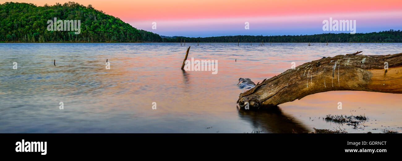Fallen tree branch providing the perfect bird perch with a view over ...