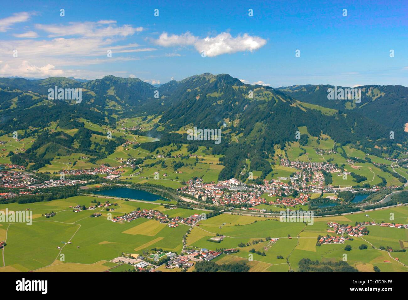 Guenten hi-res stock photography and images - Alamy