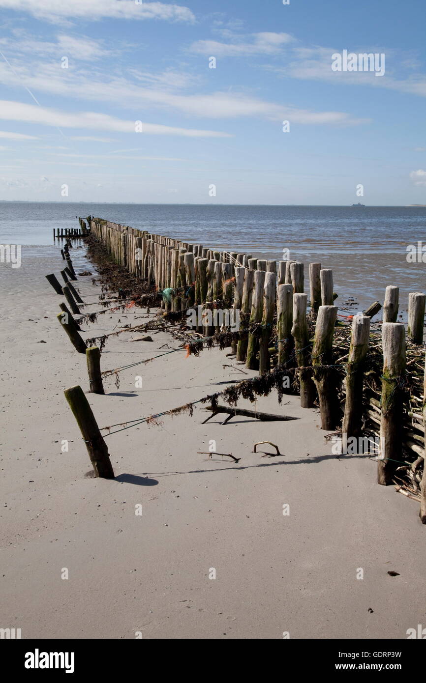 geography / travel, Germany, Lower Saxony, Spiekeroog, Wadden Sea ...