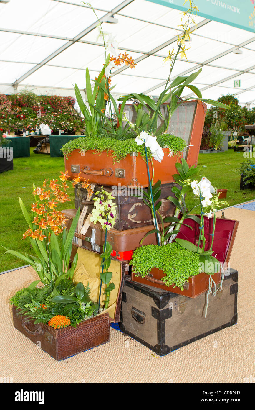 RHS Tatton Park Flower Show Exhibits. 19th July, 2016. Fabulous exhibit ...