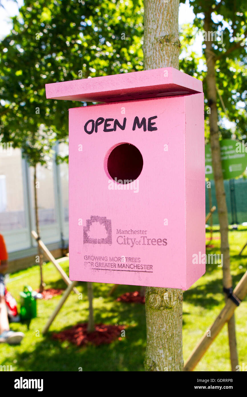flock fly animal starling flight swarm bird dusk murmuration blackpool ...