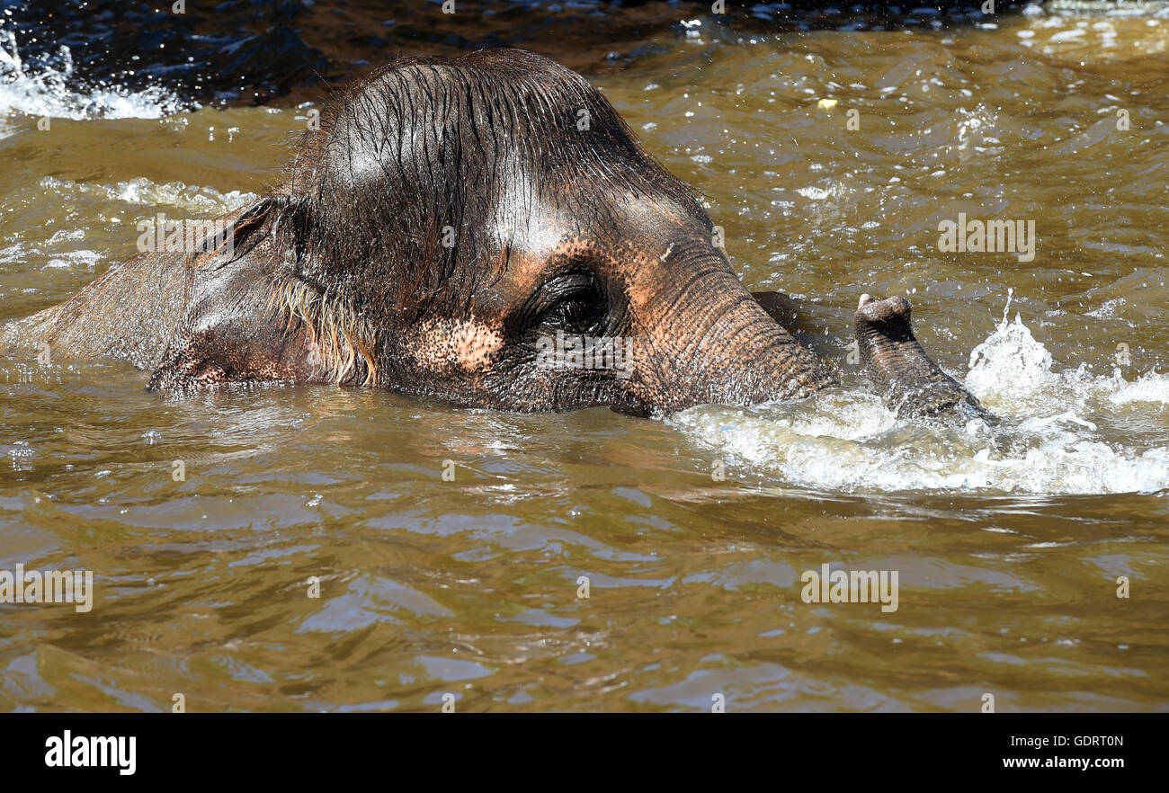 Indra 2016 hi-res stock photography and images - Alamy