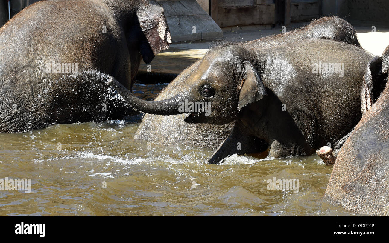 Yumi and the weather hi-res stock photography and images - Alamy